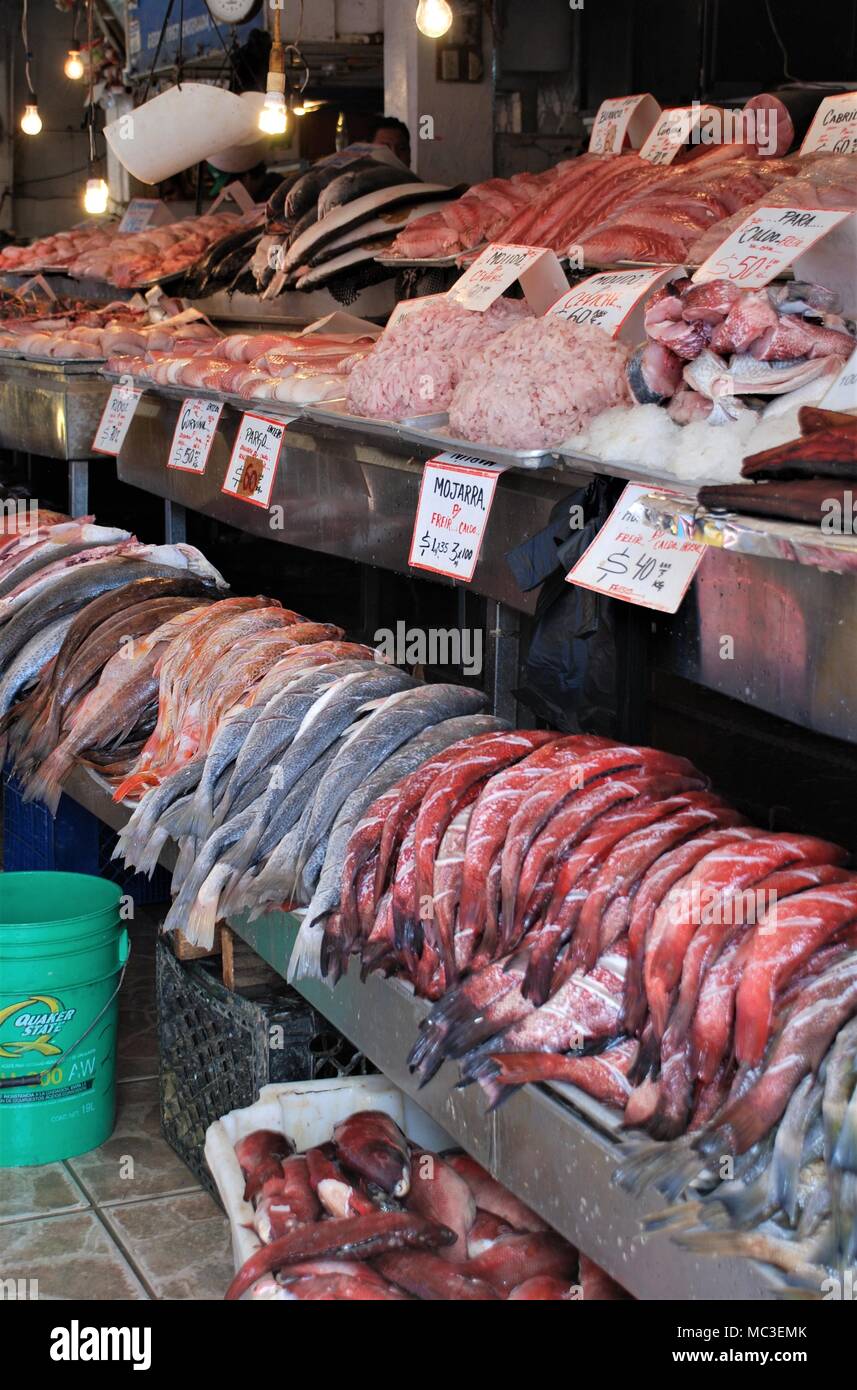 Colorful fresh fish for sale in a large fresh fish market in a Mexico ...