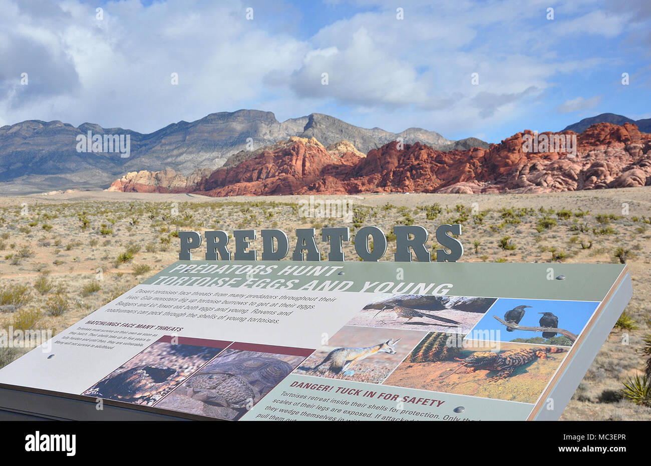 Keystone thrust fault hi-res stock photography and images - Alamy