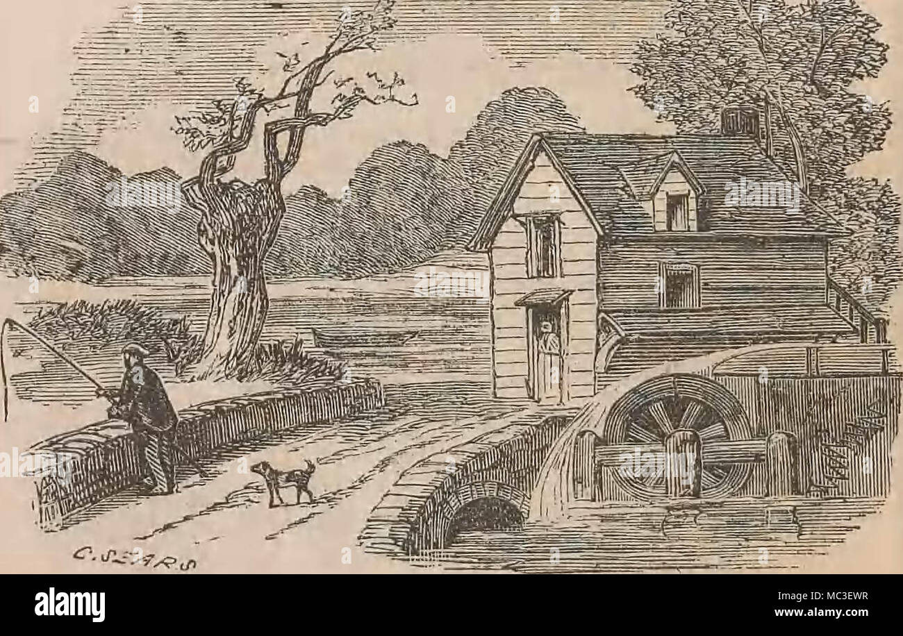 "The first lessons in numbers : an illustrated table book, designed for ...