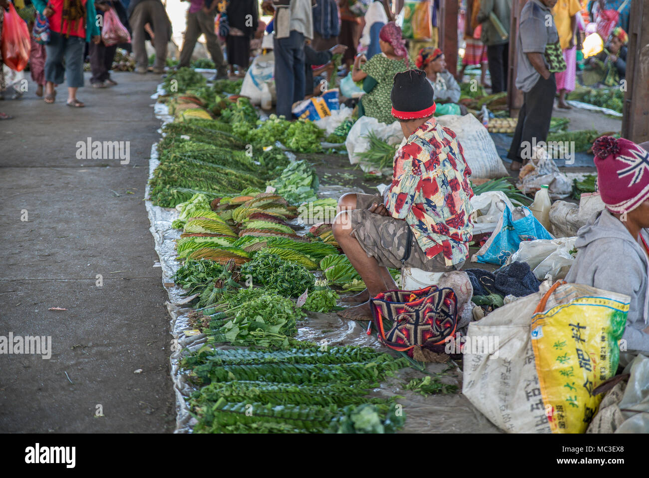 Vegetables on display at the food market, Goroka, Eastern Highlands ...