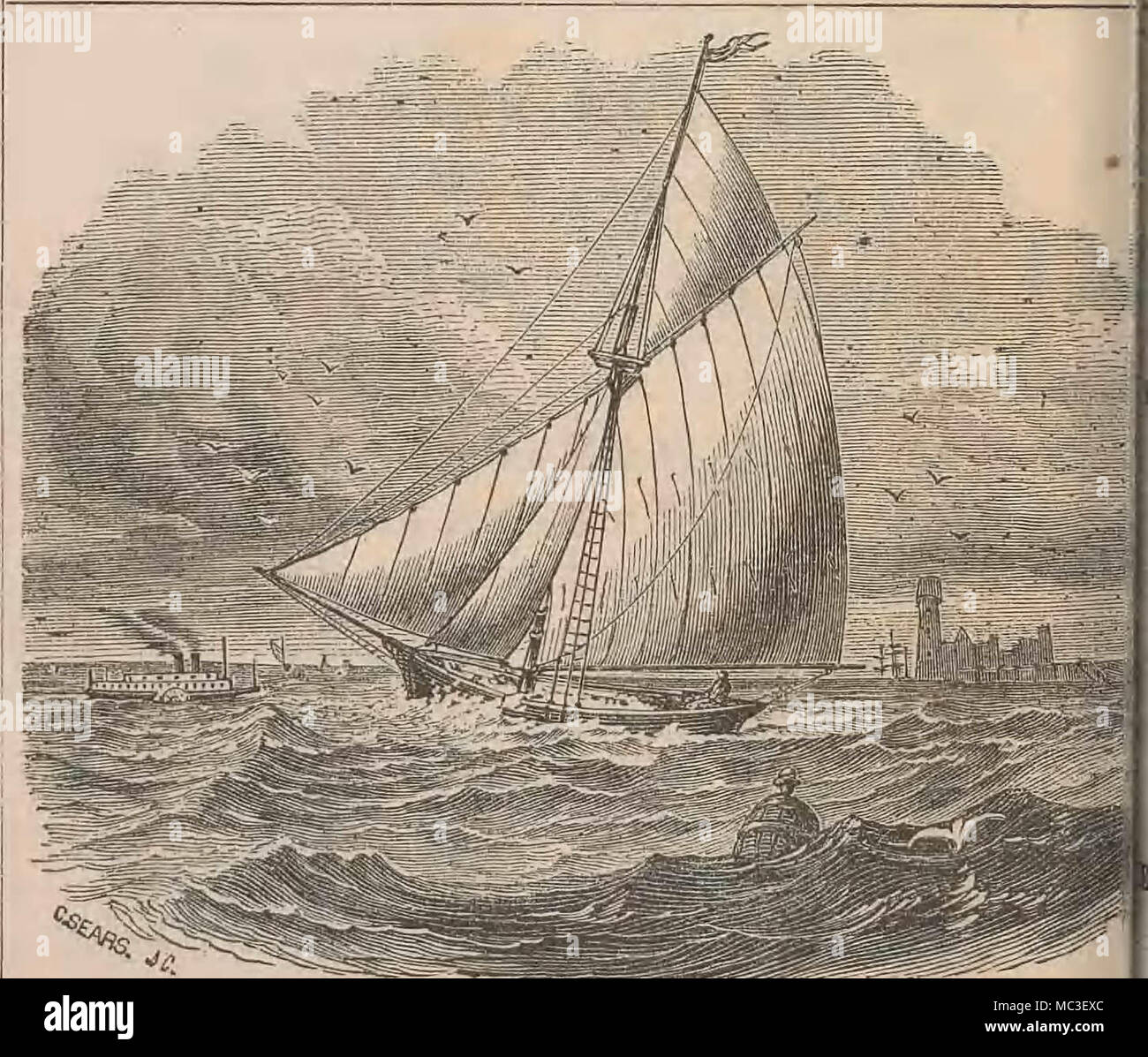 "The first lessons in numbers : an illustrated table book, designed for ...