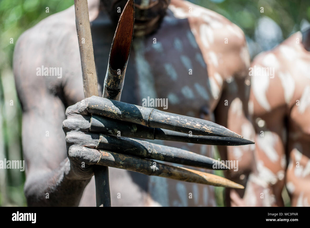 Detail of Nokondi half man nails, Goroka area, Eastern Higlands ...