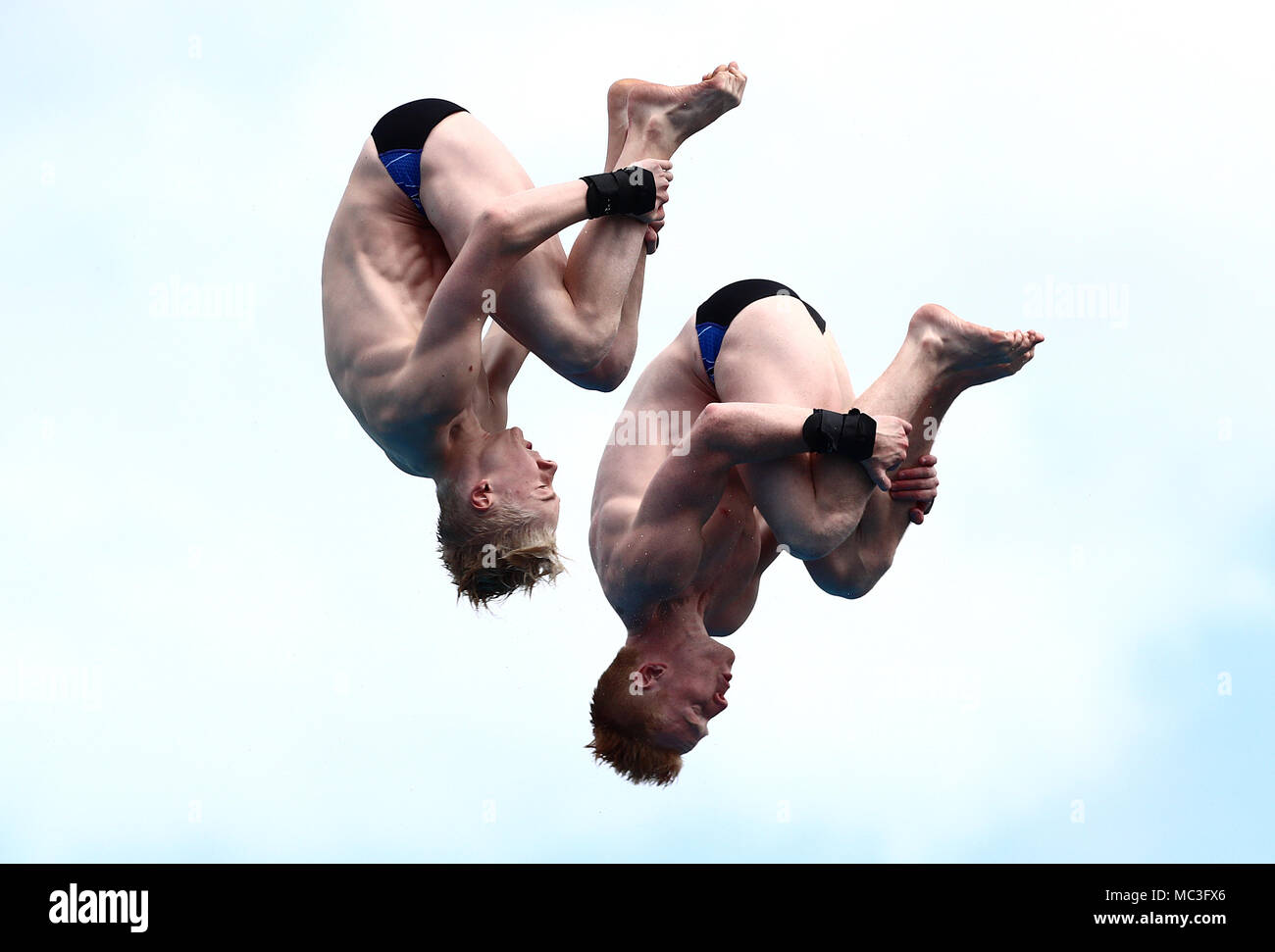 Mens 10m platform final optus aquatic centre hi-res stock photography ...