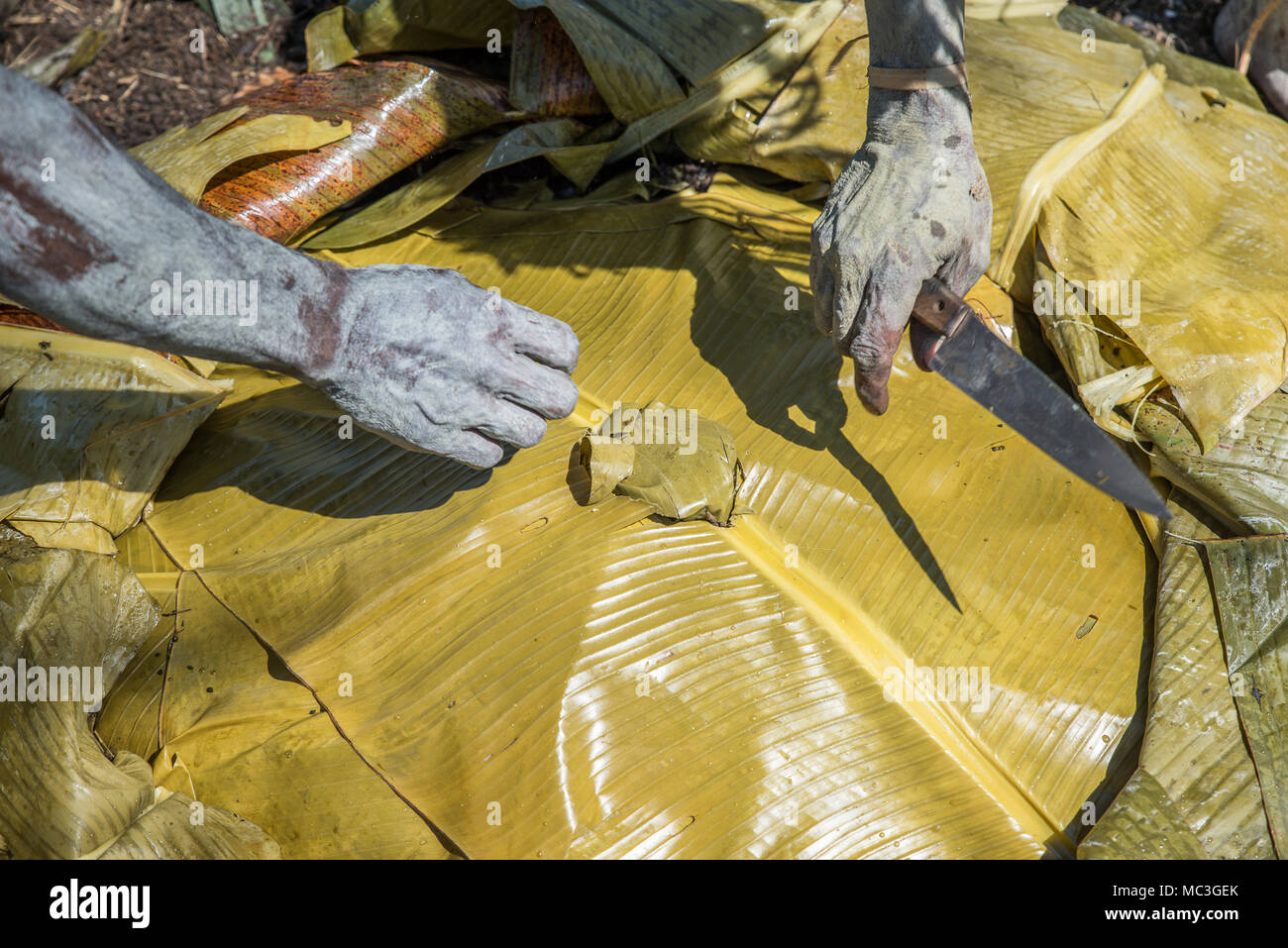 Papua new guinea mumu taro hi-res stock photography and images - Alamy