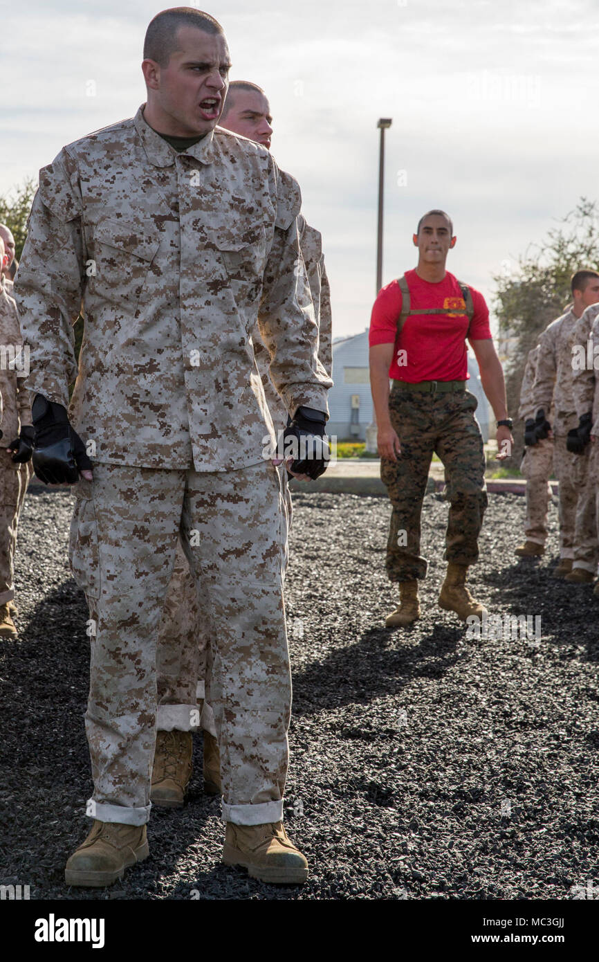 Drill instructor from 1st battalion hi-res stock photography and images ...