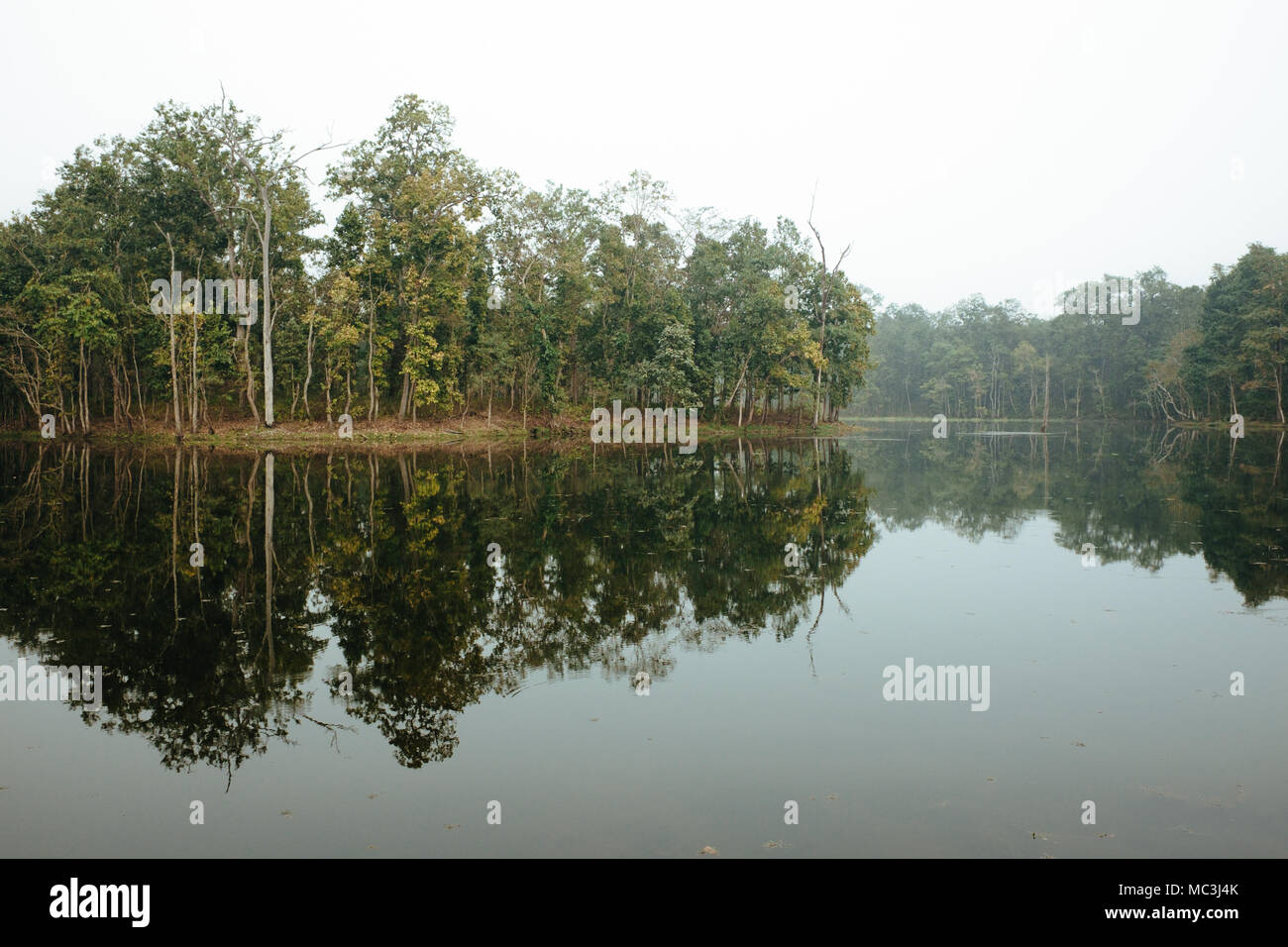 Forest and lake landscape hi-res stock photography and images - Alamy