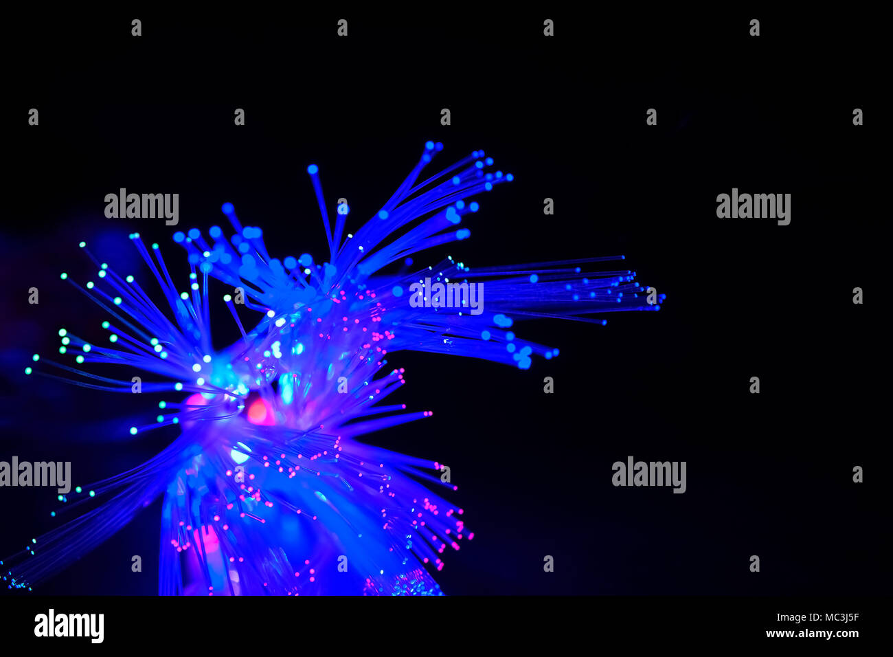 Optical fibre cable against black background Stock Photo - Alamy