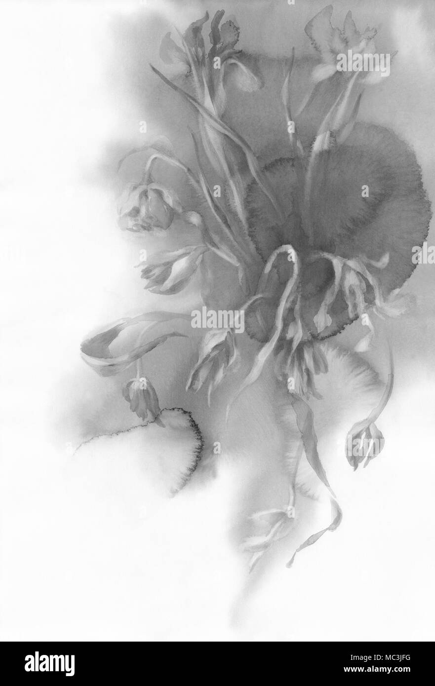 Botanical nature background Black and White Stock Photos & Images - Alamy