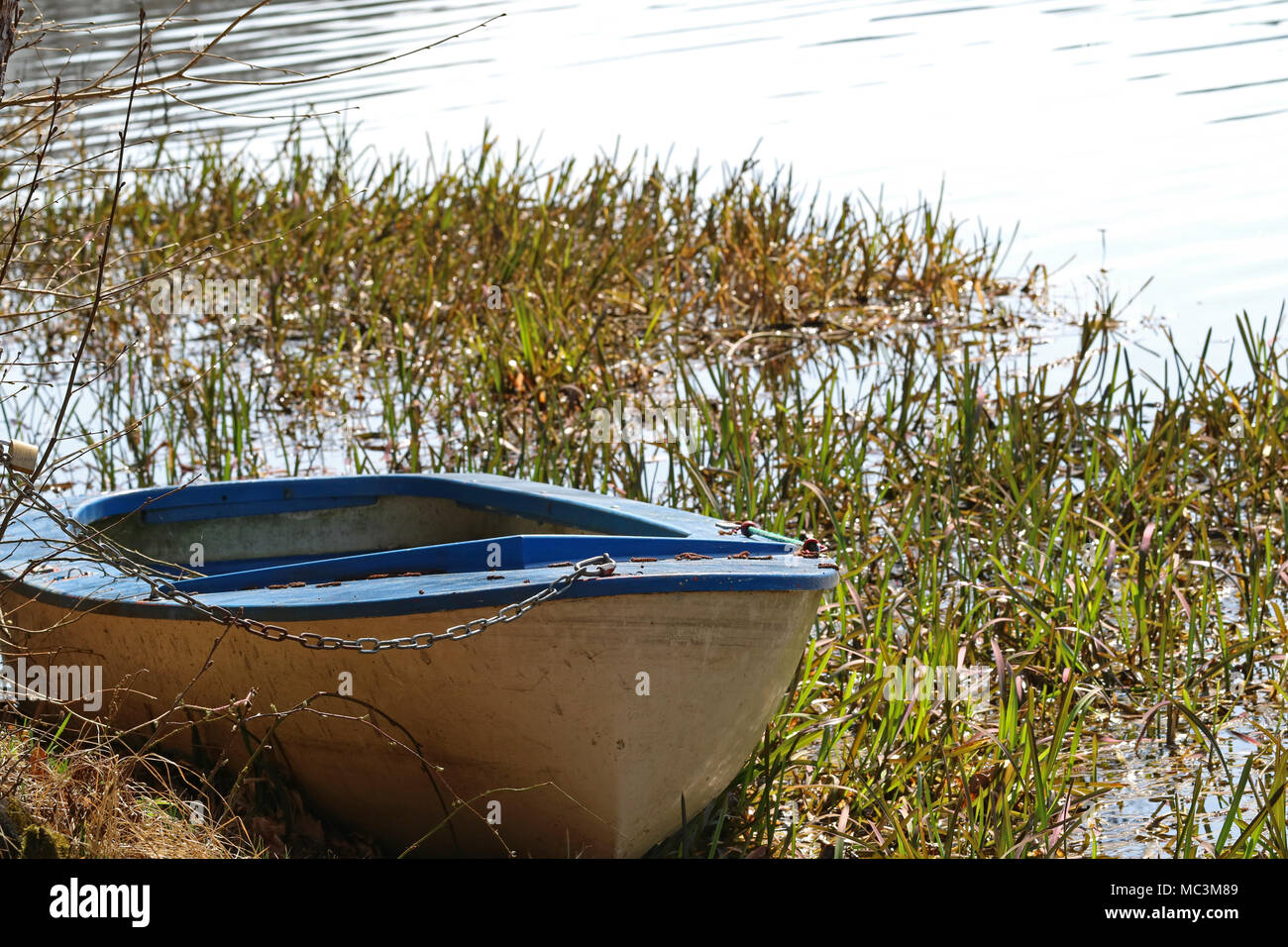 old fishing boat locked with a padlock and chain in the reeds Stock ...