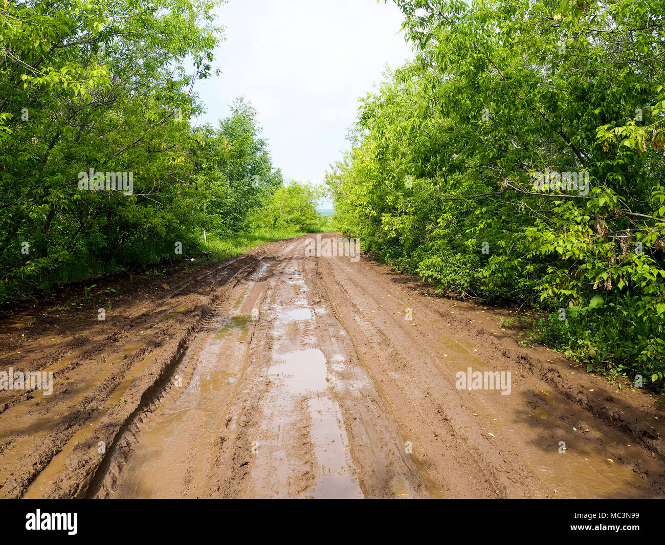 Wet track hi-res stock photography and images - Alamy