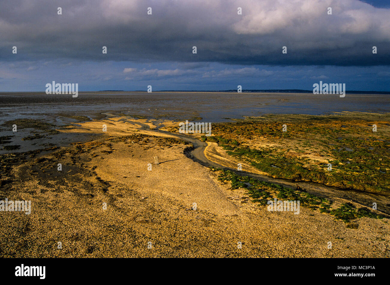 North wales river hi-res stock photography and images - Alamy