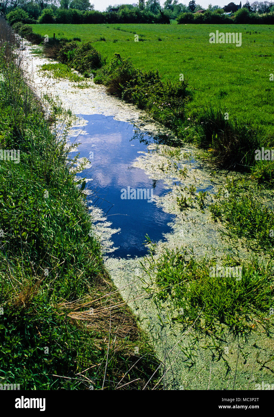 Gwent levels m4 hi-res stock photography and images - Alamy