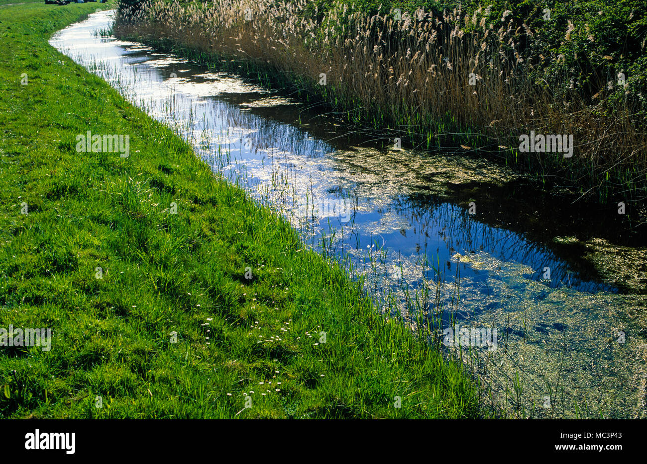 Gwent levels m4 hi-res stock photography and images - Alamy