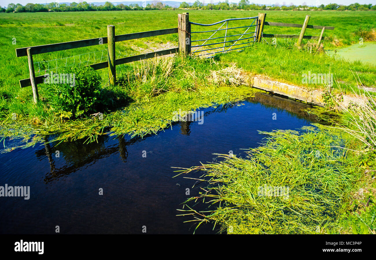Gwent levels m4 hi-res stock photography and images - Alamy