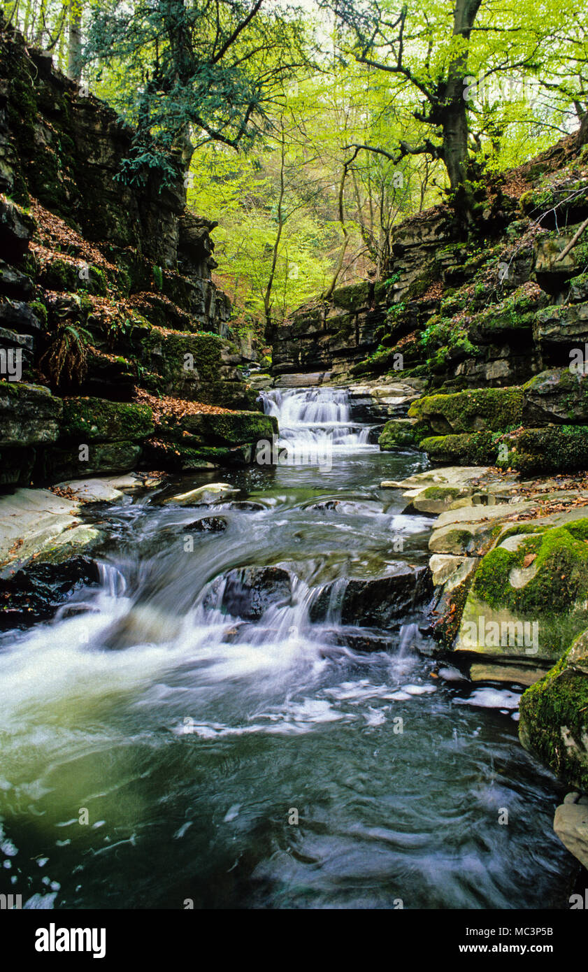 River clydach hi-res stock photography and images - Alamy