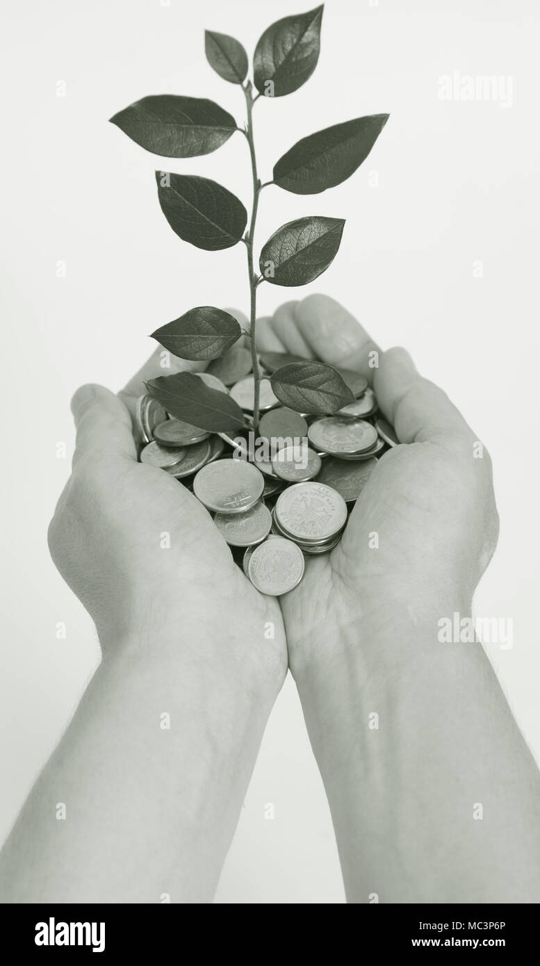 Hand holding tree growing on coins .saving money concept Stock Photo ...