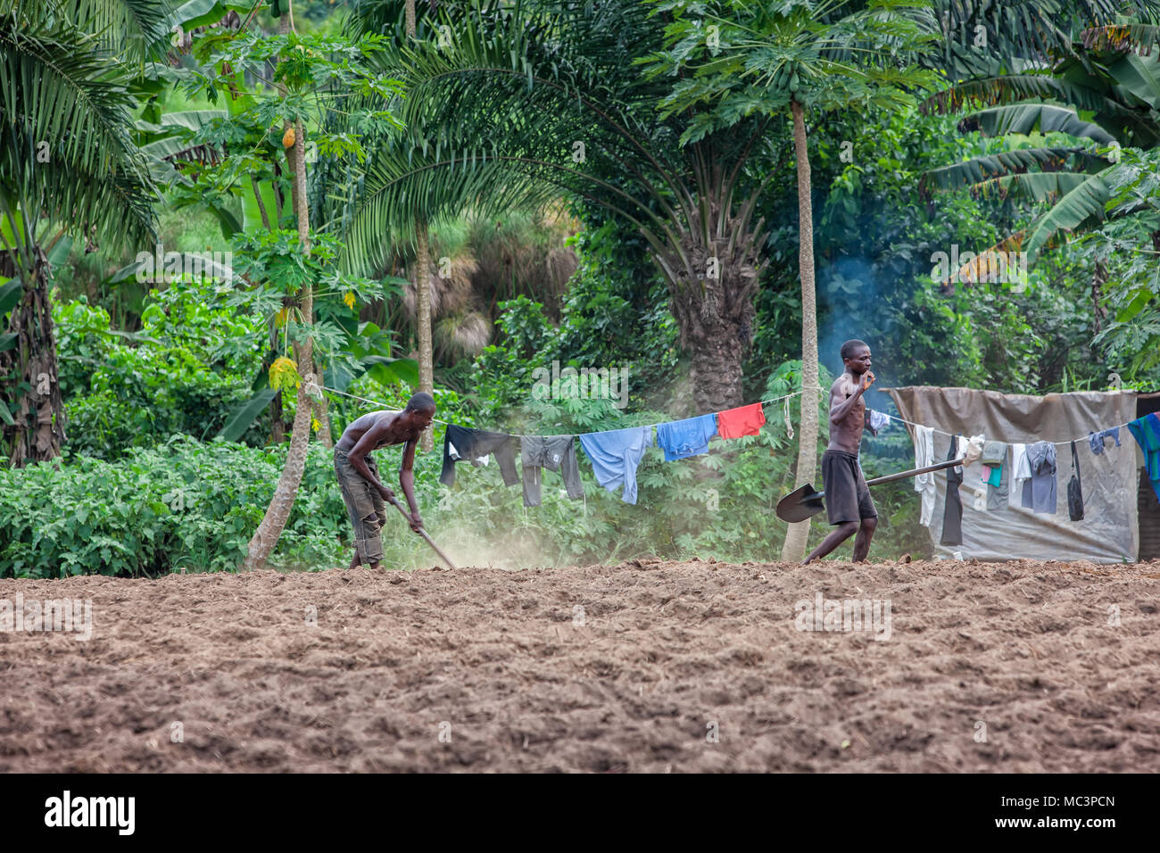 CABINDA/ANGOLA - 09 JUN 2010 - Rural farmers to till land in Cabinda ...
