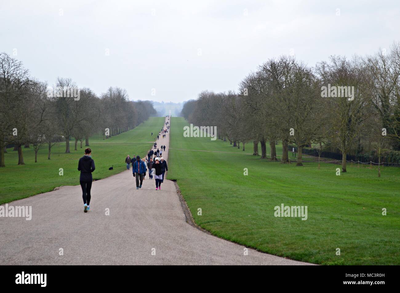 Leads to windsor great park hi-res stock photography and images - Alamy