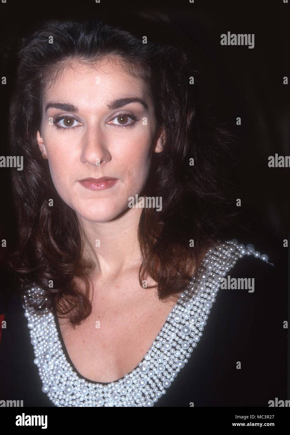 Celine Dion High Resolution Stock Photography and Images - Alamy