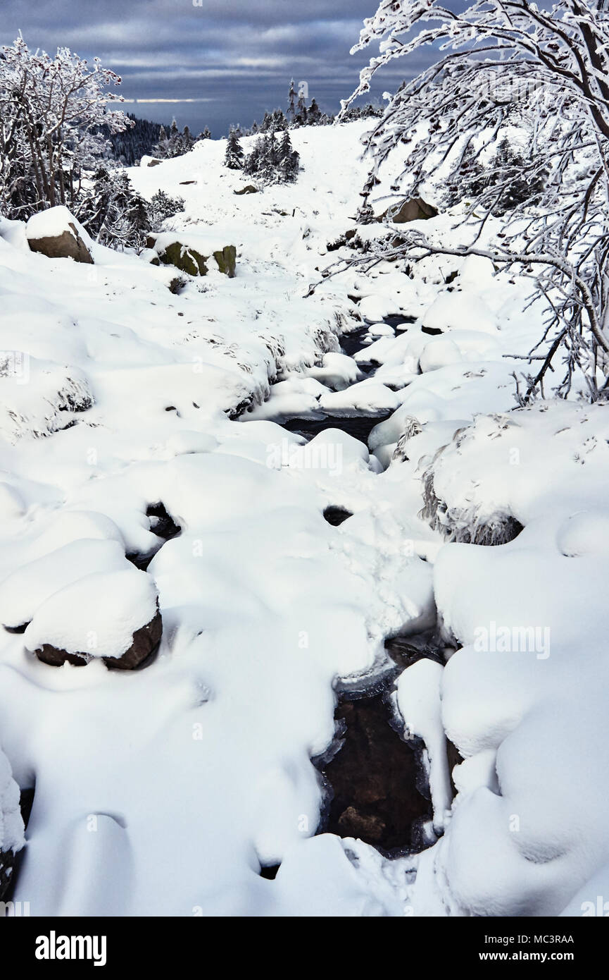 A frozen and snow-covered stream in the winter in the Giant Mountains ...