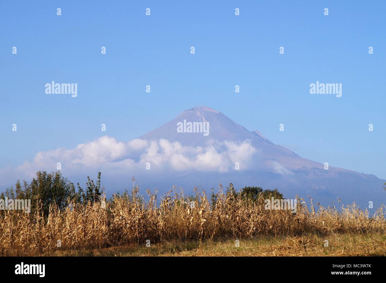 View of Popocatepetl volcan, Mexico Stock Photo - Alamy