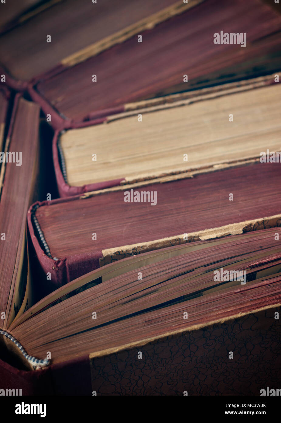 Hard back hi-res stock photography and images - Alamy