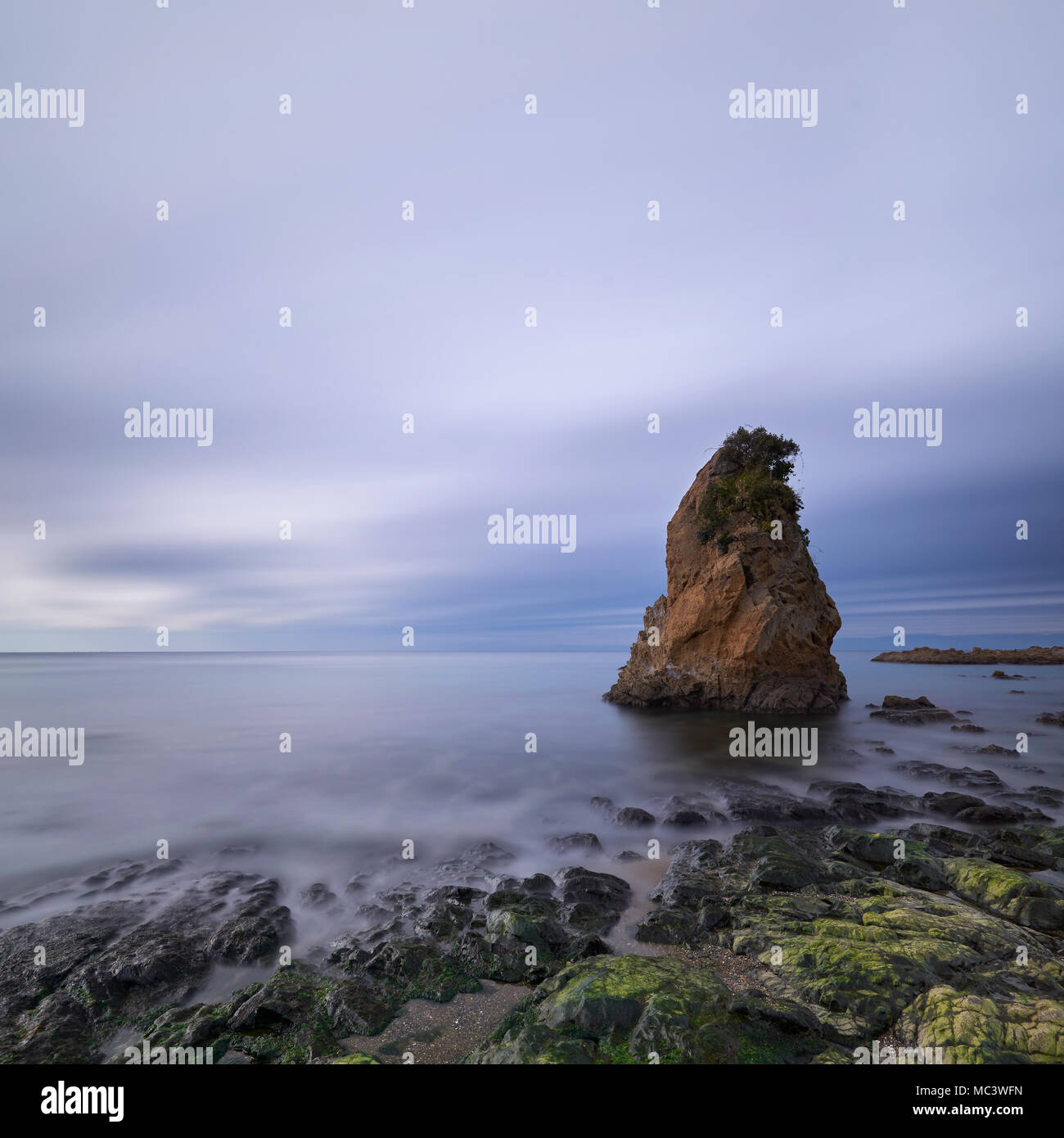 Tateishi park hi-res stock photography and images - Alamy