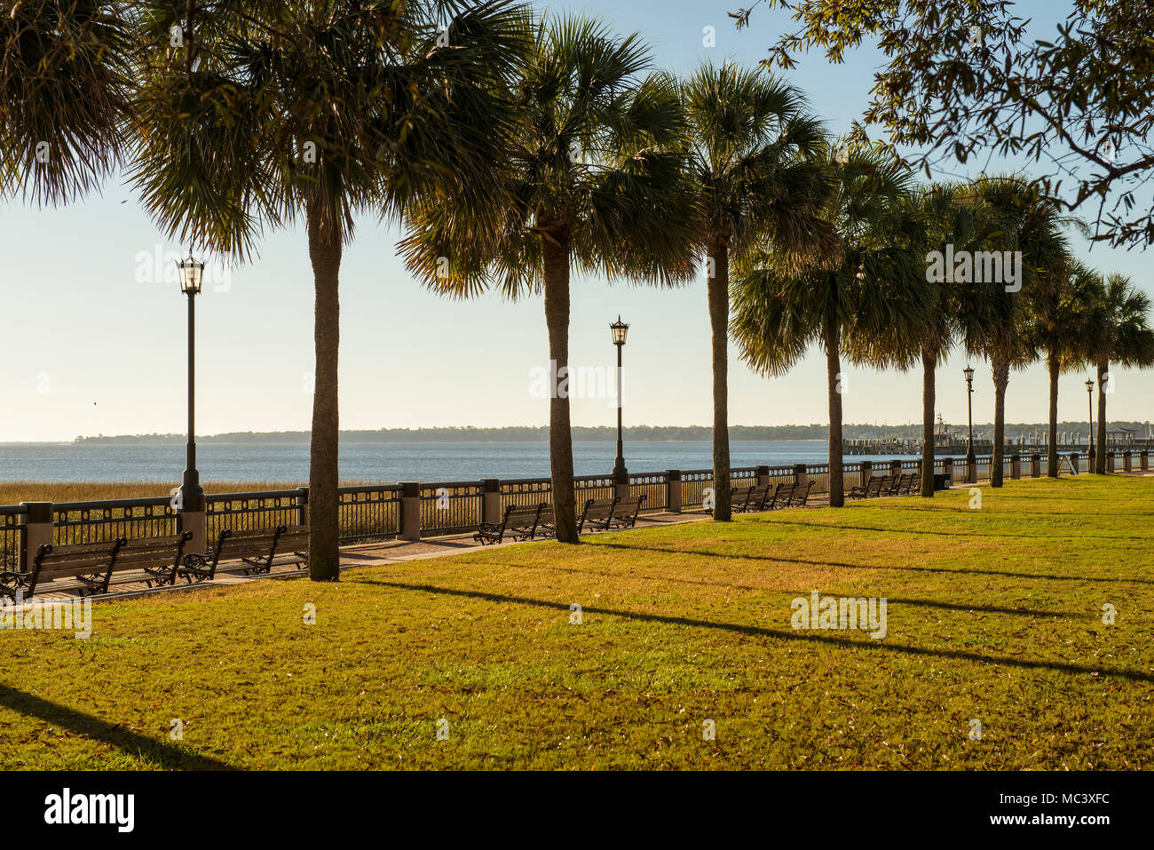 Stylish bench in summer park Stock Photo - Alamy