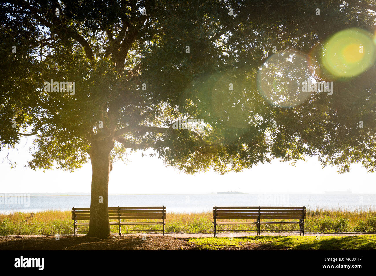 Stylish bench in summer park Stock Photo - Alamy