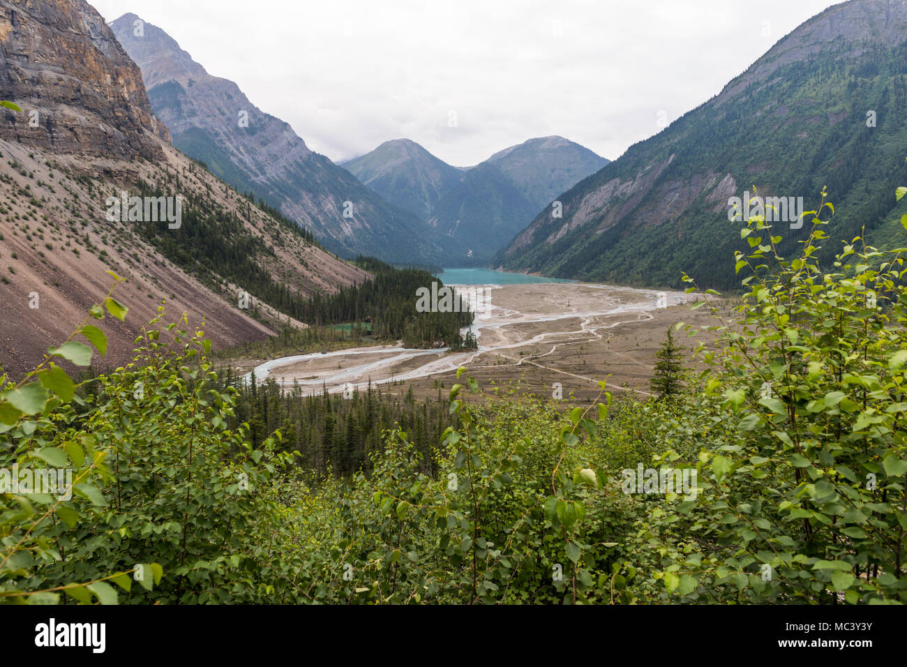 Alluvial fan hi-res stock photography and images - Alamy