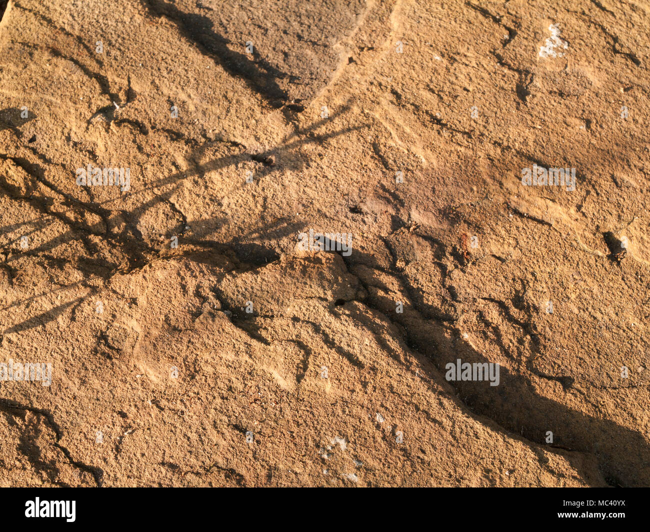 Bedrock ,The corridor floor with natural stone. Natural stone flooring ...