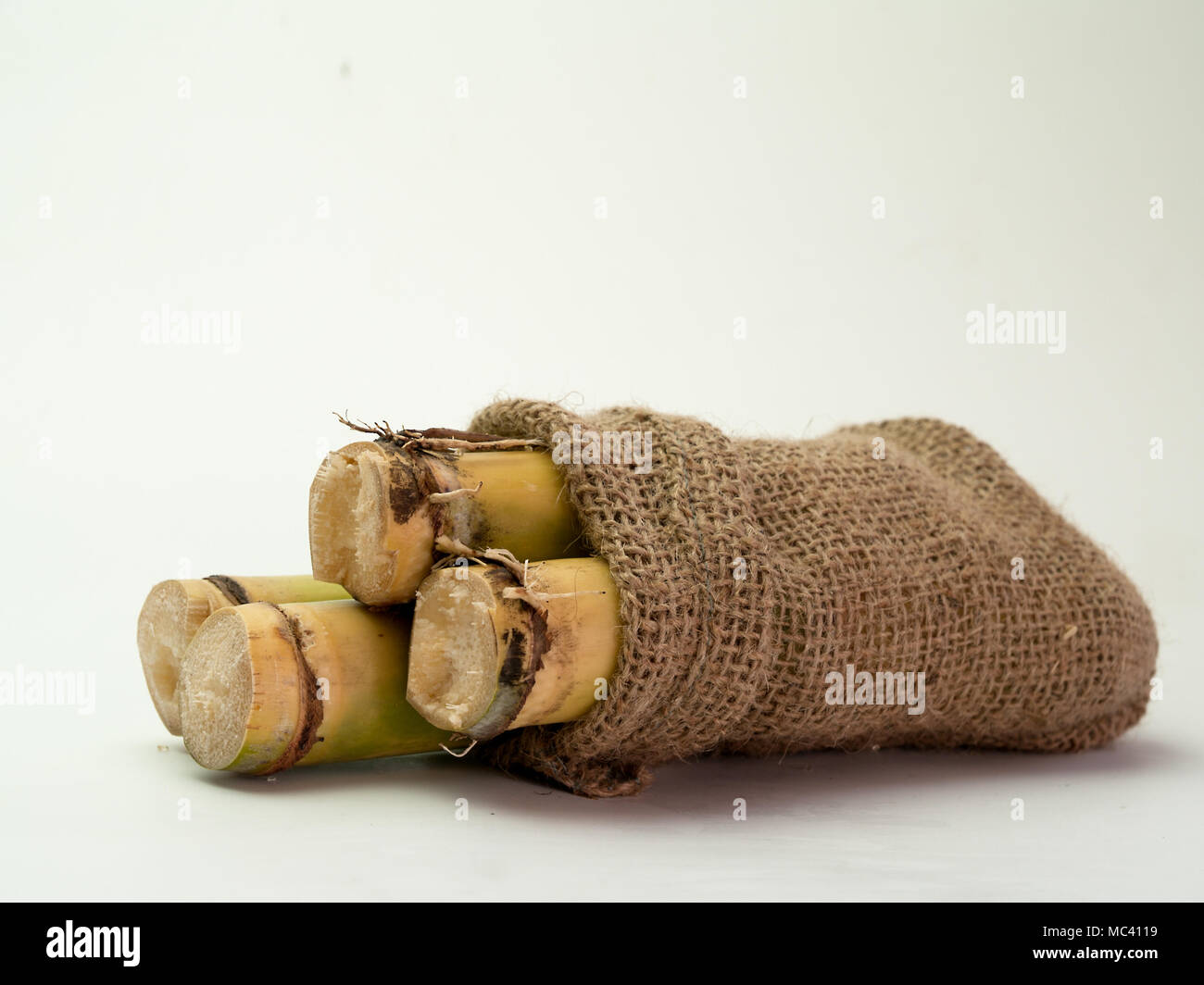 Sugarcane ,. Sugarcane has many different varieties that height Stock ...