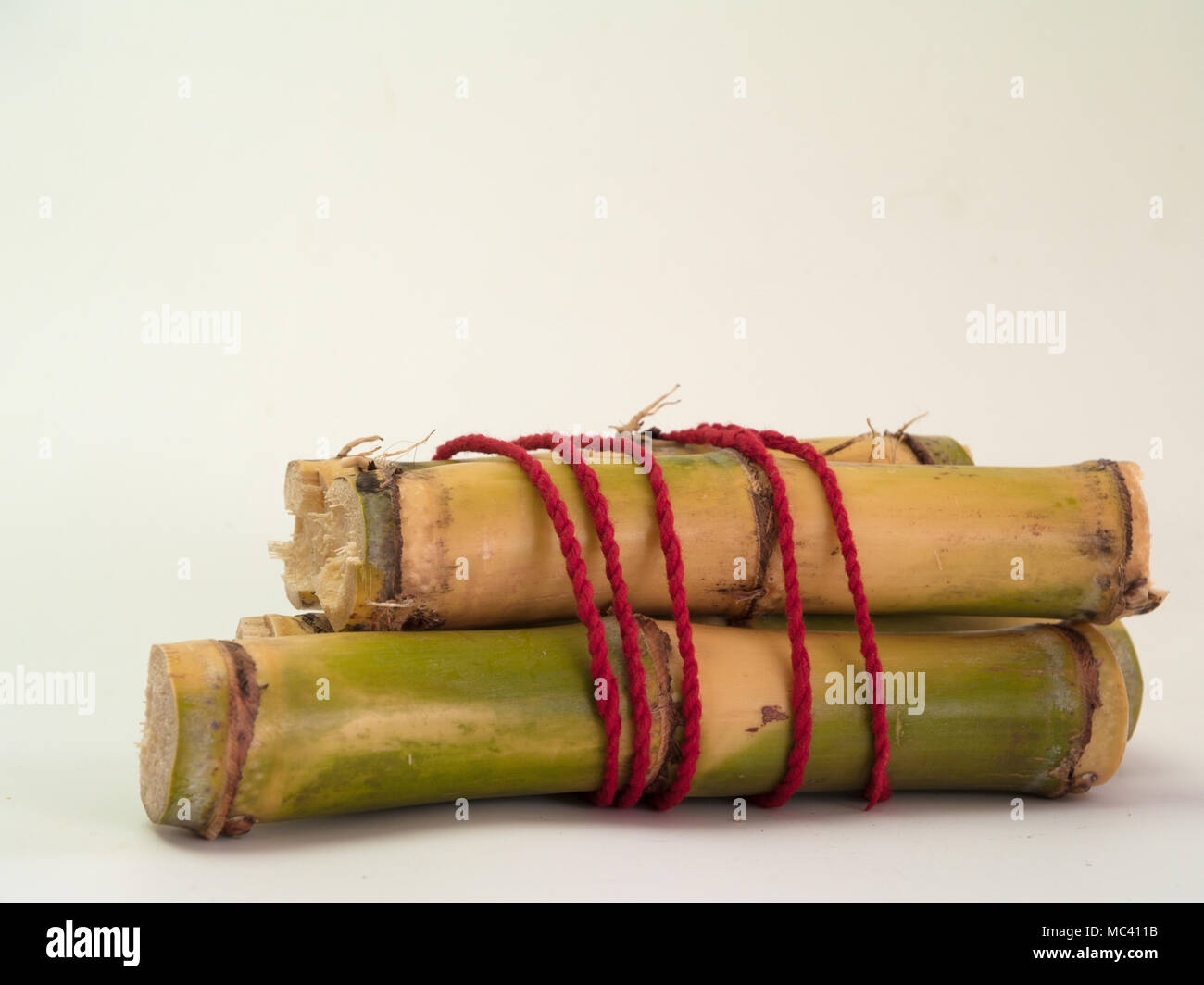 Sugarcane ,. Sugarcane has many different varieties that height Stock ...