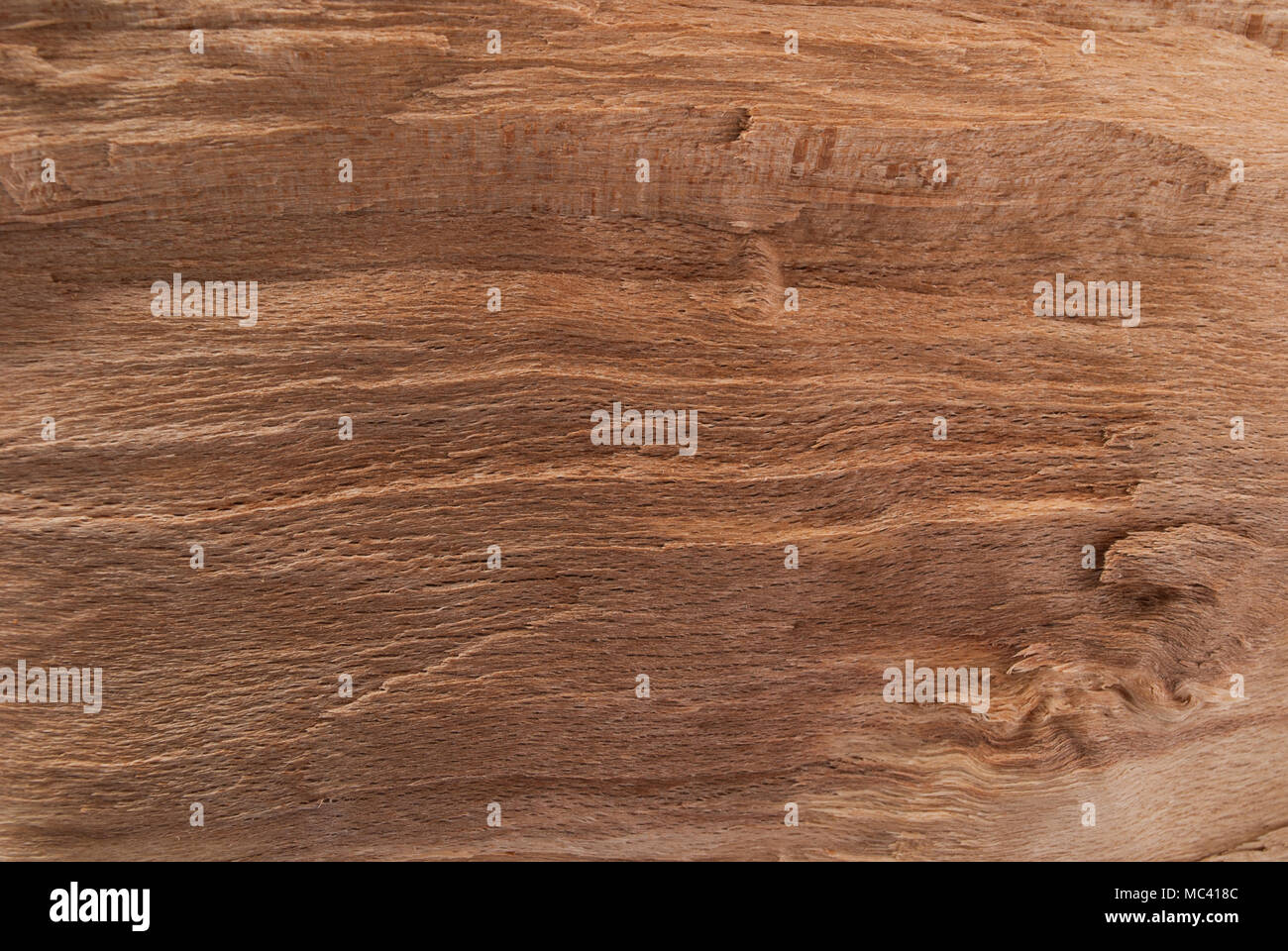 Natural background of tree texture pattern Stock Photo - Alamy