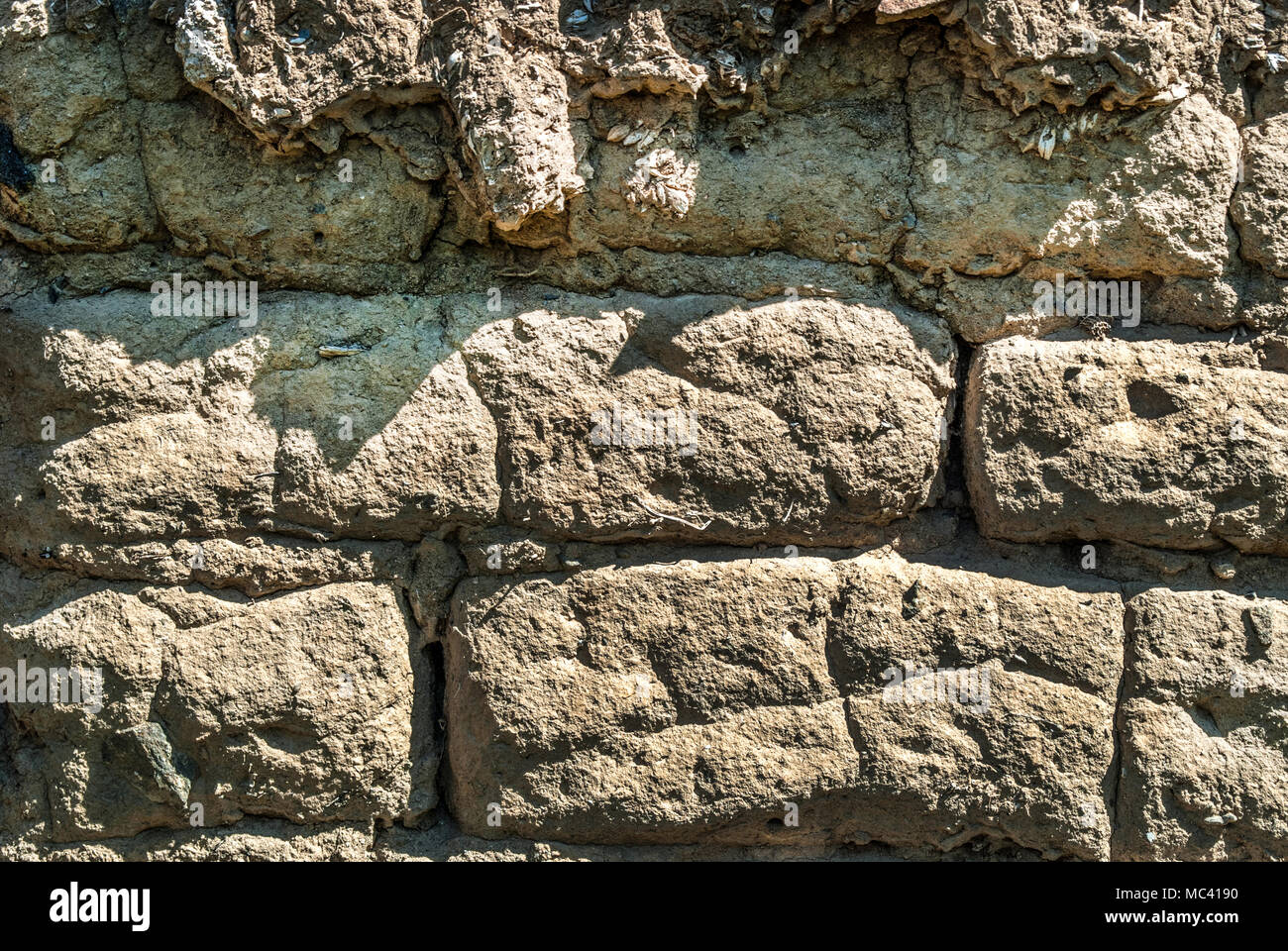 House Outside Wall Texture