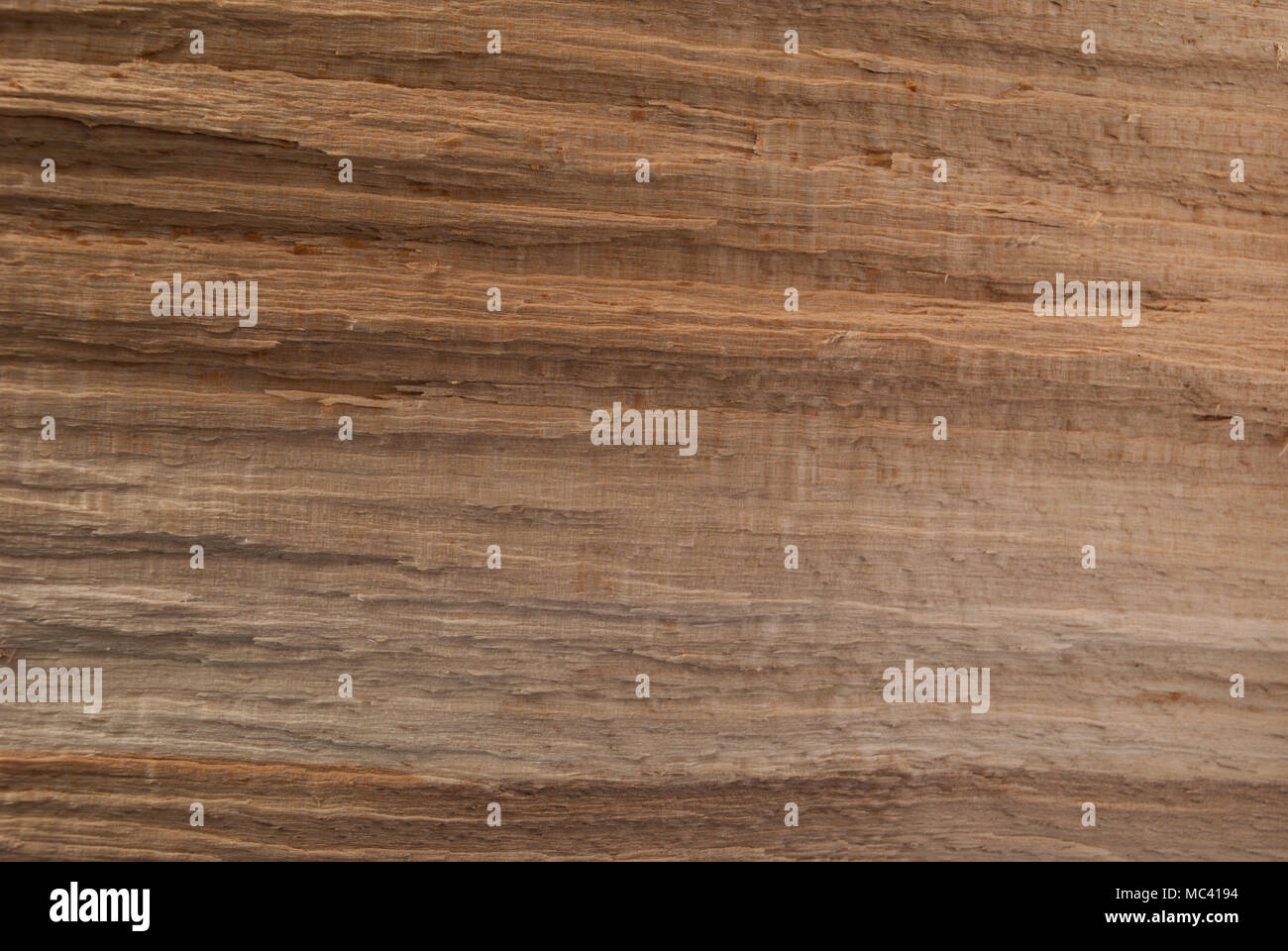 Natural tree texture for background and design Stock Photo - Alamy