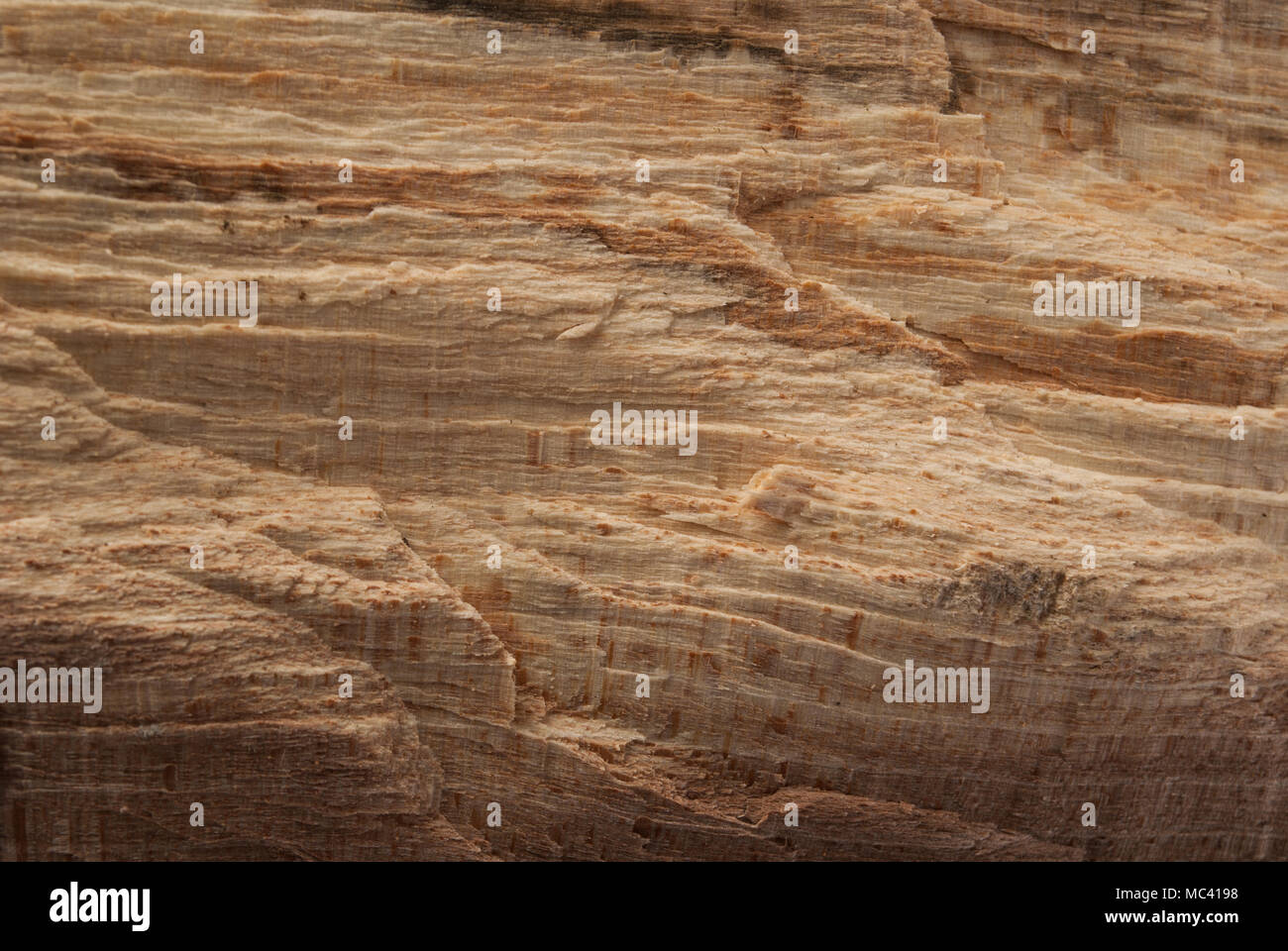 Close-up wood texture for background and design pattern Stock Photo - Alamy
