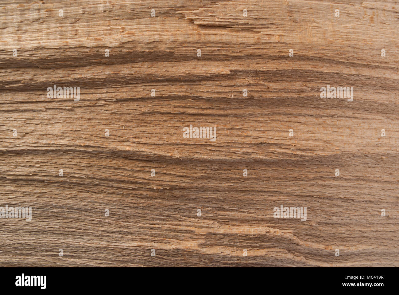 Beautiful natural pattern hi-res stock photography and images - Alamy