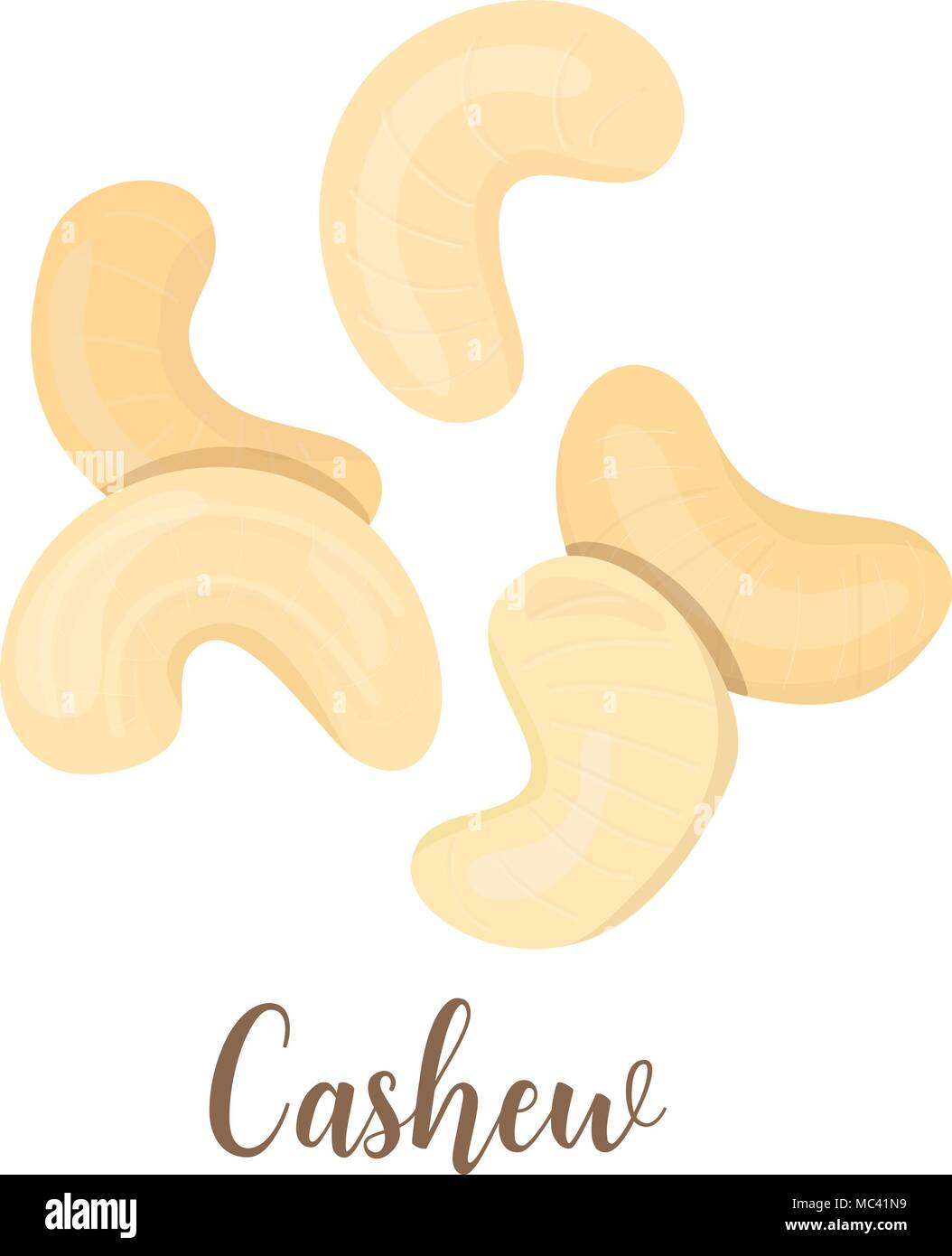 Cashew nuts on white background Stock Vector Images - Alamy