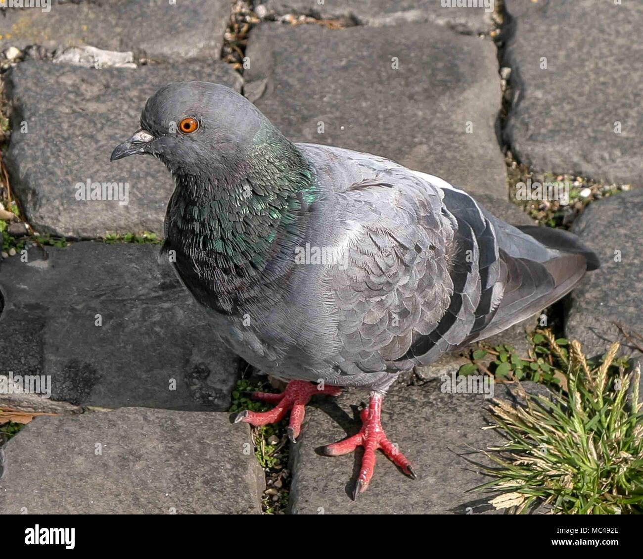 Oct 2004 hi-res stock photography and images - Alamy