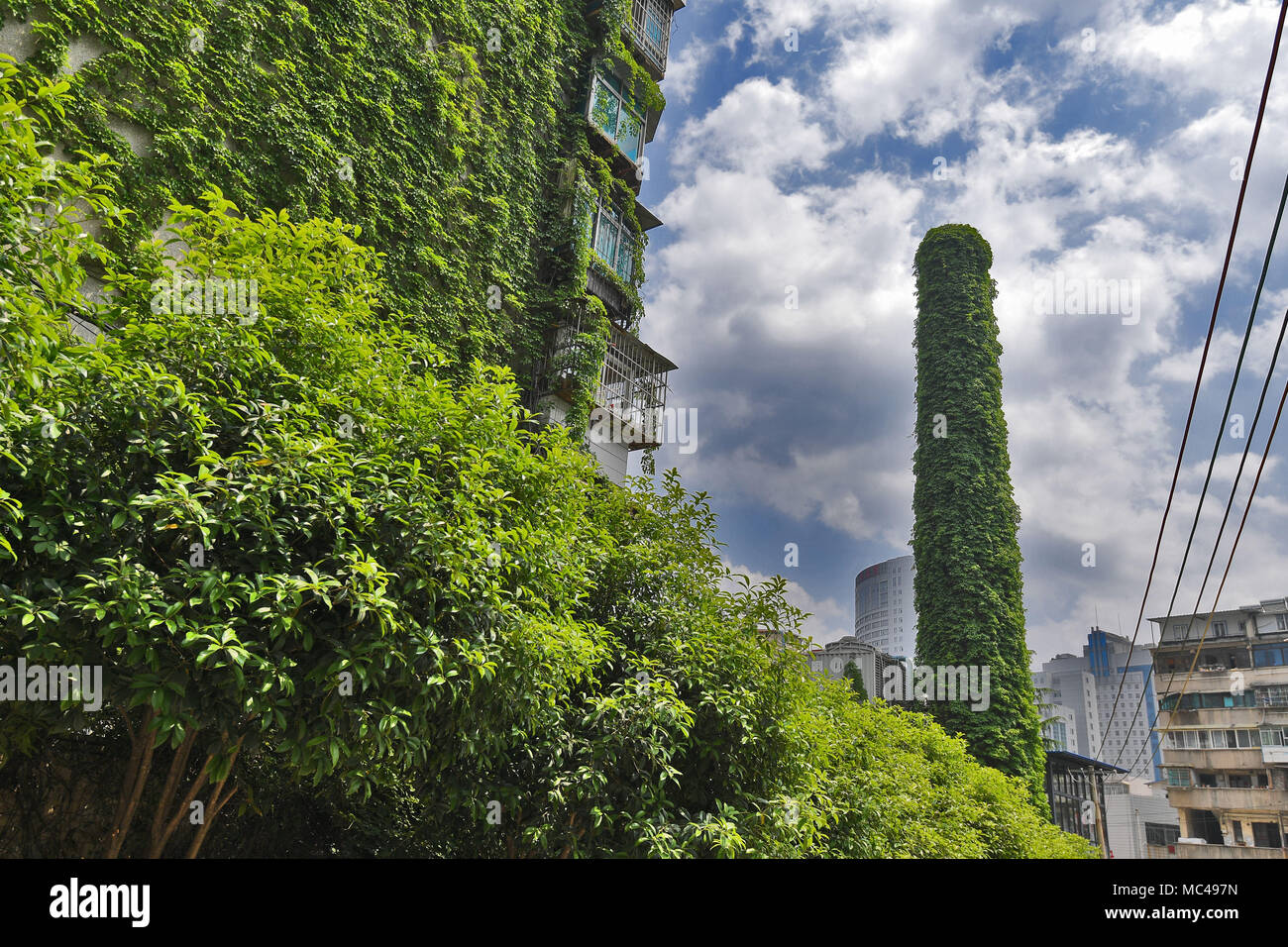 30 meter tall hi-res stock photography and images - Alamy