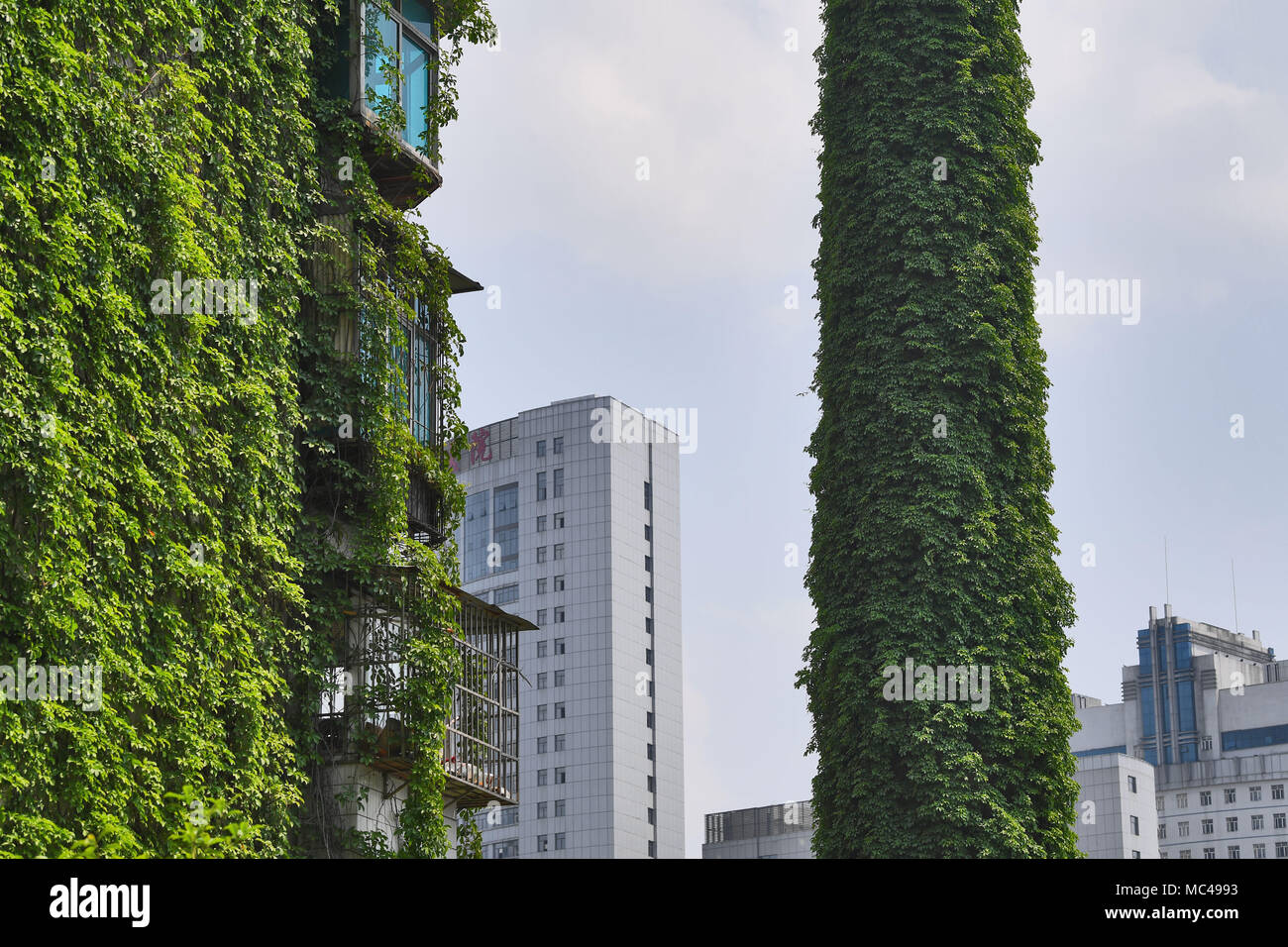 30 Meter Tall High Resolution Stock Photography and Images - Alamy