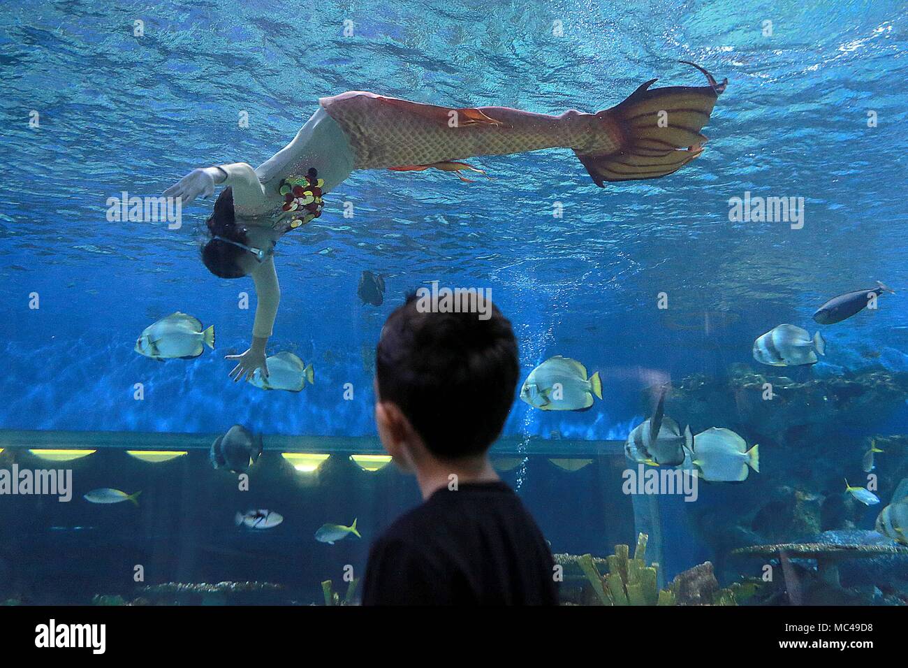 Manila, Philippines. 13th Apr, 2018. A swimmer dressed as mermaid ...