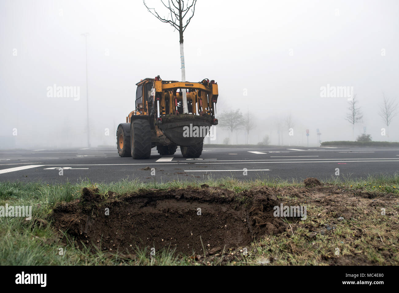 13 April 2018, Germany, Duesseldorf: A special digger unearthing a tree ...