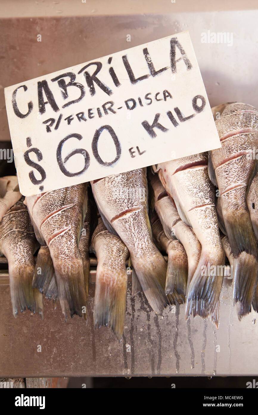 Cabrilla for sale at the fish market in Ensenada, Baja California ...