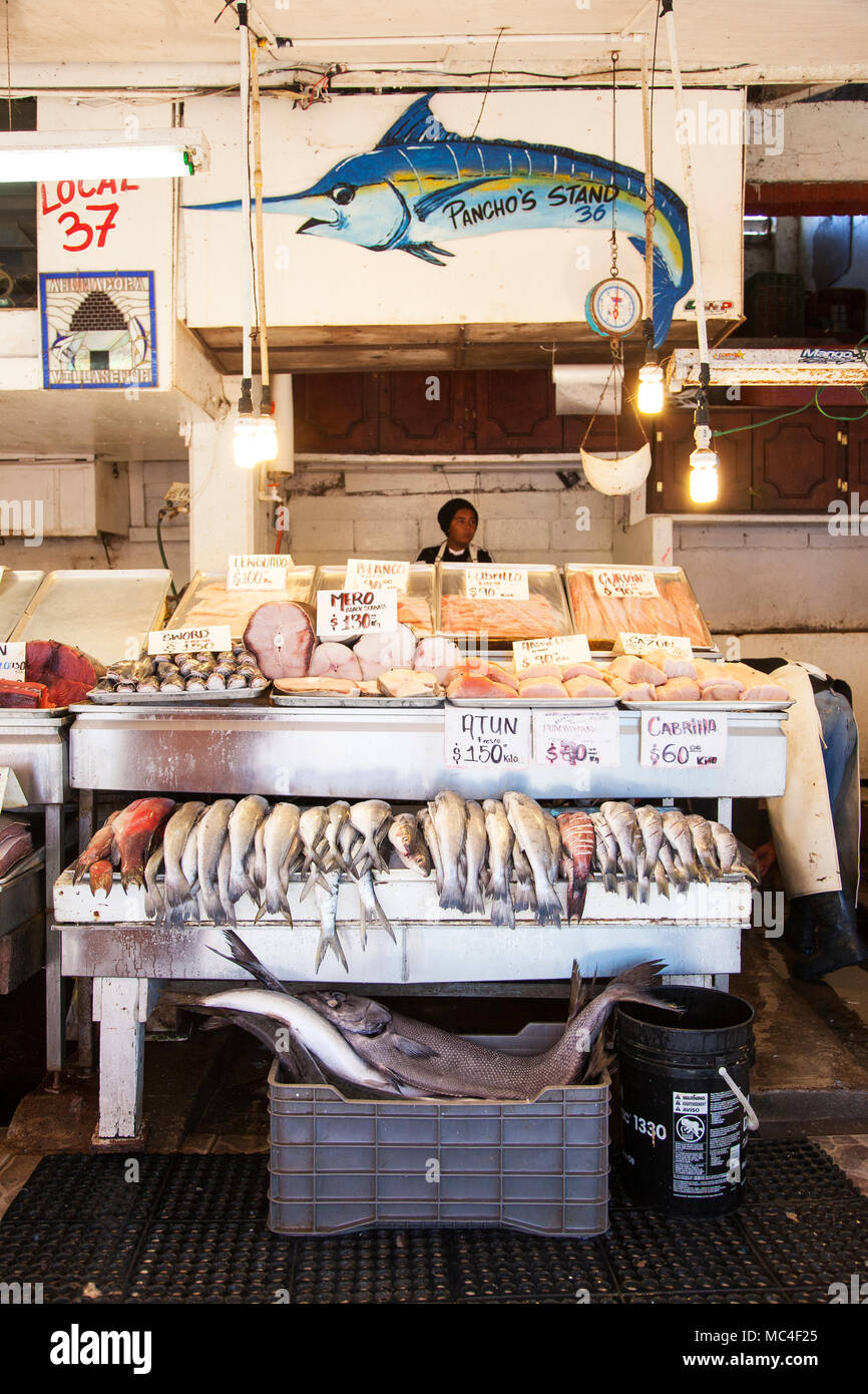 Fish for sale at the fish market in Ensenada, Baja California, Mexico ...