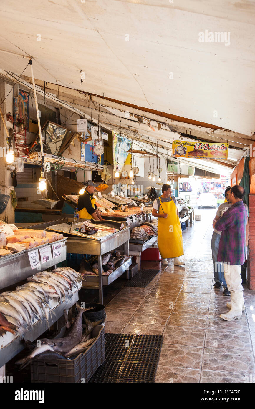 Fish for sale at the fish market in Ensenada, Baja California, Mexico ...