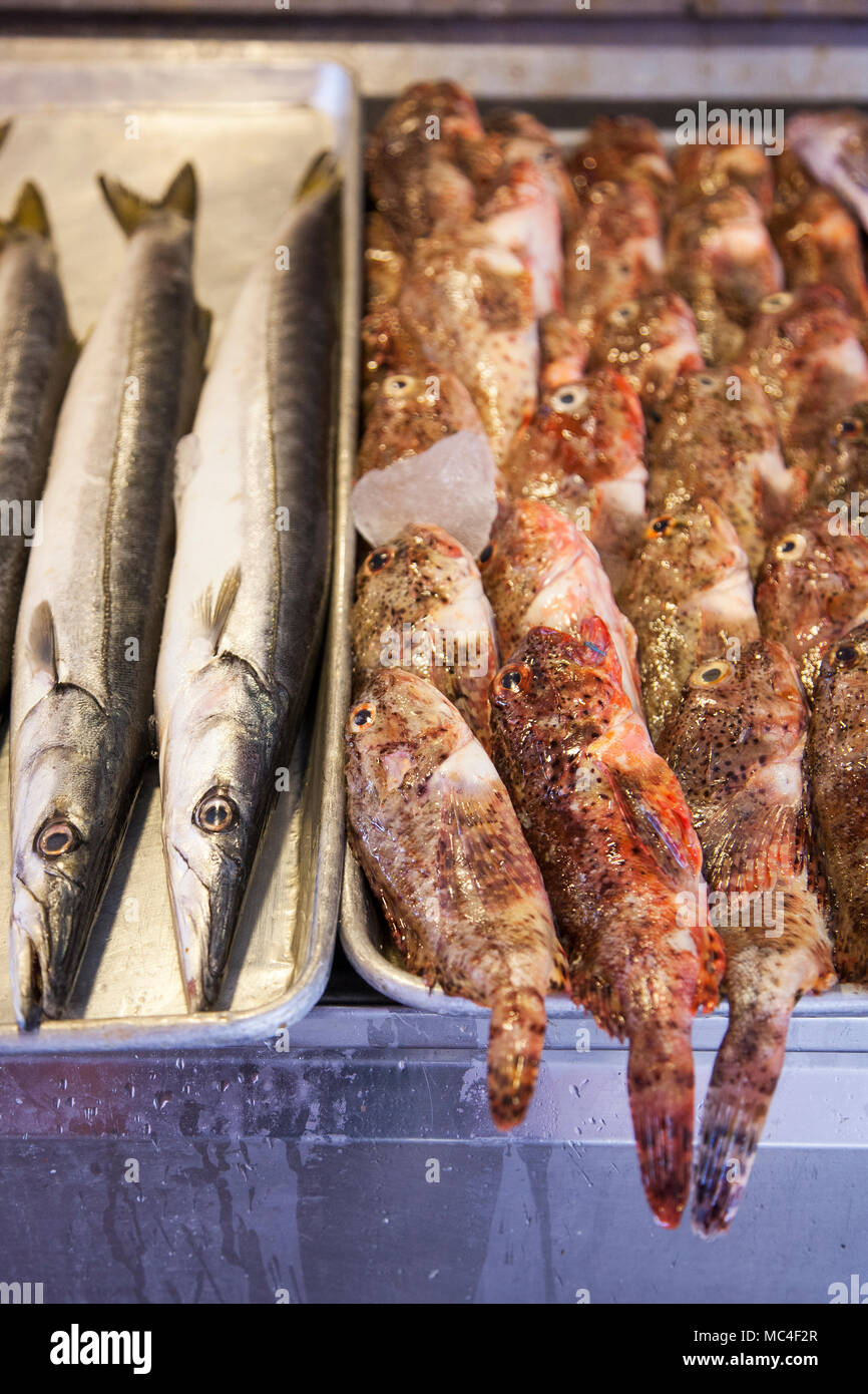 Fish for sale at the fish market in Ensenada, Baja California, Mexico ...
