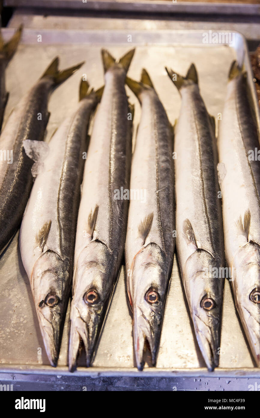 Fish for sale at the fish market in Ensenada, Baja California, Mexico ...