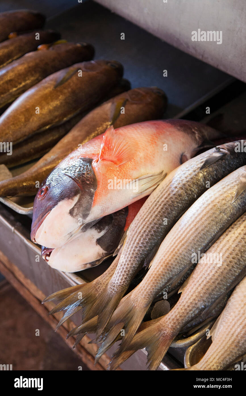 Fish for sale at the fish market in Ensenada, Baja California, Mexico ...